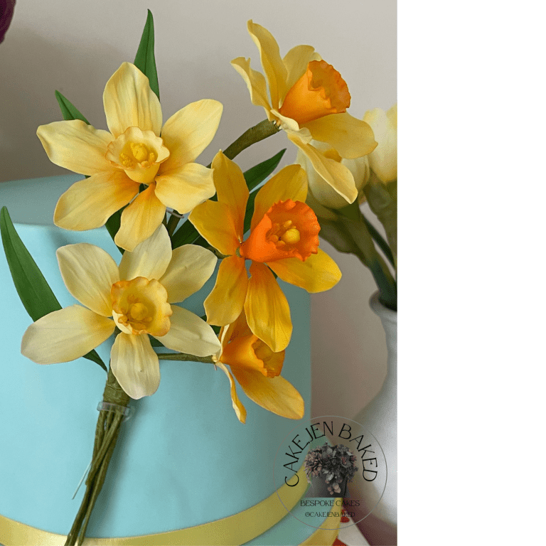 Birthday & Celebration Cakes – Cake, Jen Baked